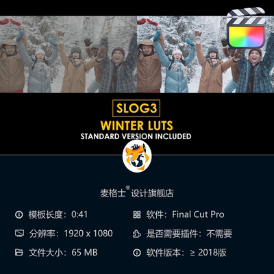 Slog3冬季与标准色彩LUT FCPX电影感调色预设支持ARRI摄影机风格
