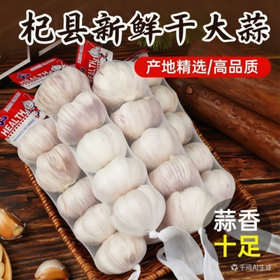 网兜条装干大蒜新鲜精品商超款紫白皮大蒜头产地直发新干蒜净蒜