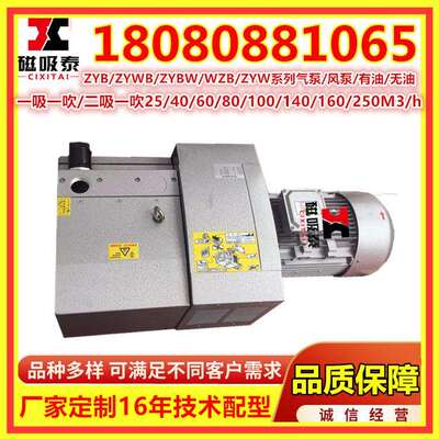 粮食扦样器气泵ZYBW140E真空压力复合气泵雕刻机真空泵cnc真空泵
