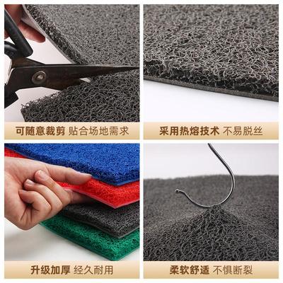 丝圈地垫门垫地毯客厅入户门口脚垫门厅塑料室外家用防滑垫定制