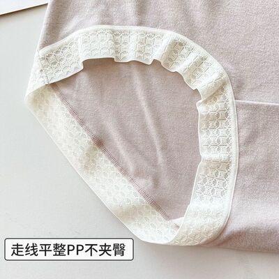 上身即热！德绒磨毛无痕女士内裤中腰蝴蝶结女三角内裤加大肥9233