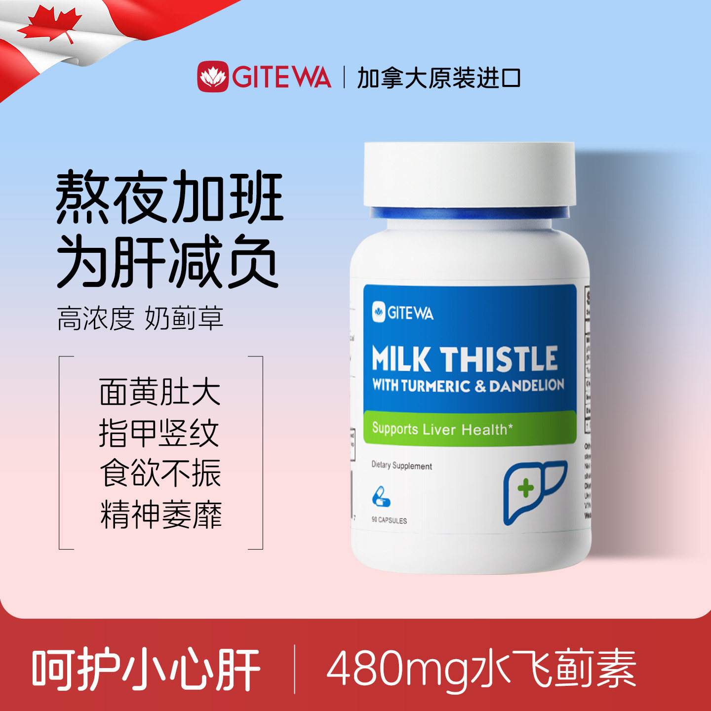 Gitewa加添维护肝片胆碱女性男士奶蓟草水飞蓟类养熬夜护旰片
