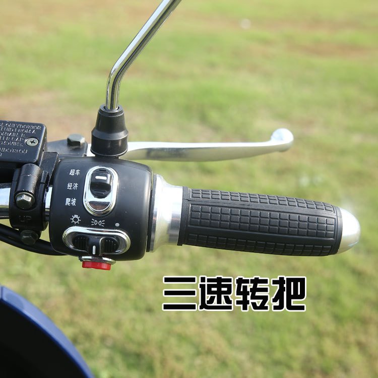 出口款 龟王整车发货双灯小龟王电动摩托车双碟刹一键遥控启动60V