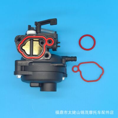 799584化油器09P702适用于550EX百力通625EX Briggs & Stratton