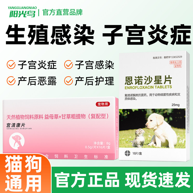 猫咪狗狗子宫蓄脓流血恶露尿闭尿血生殖道泌尿感染产后护理消炎