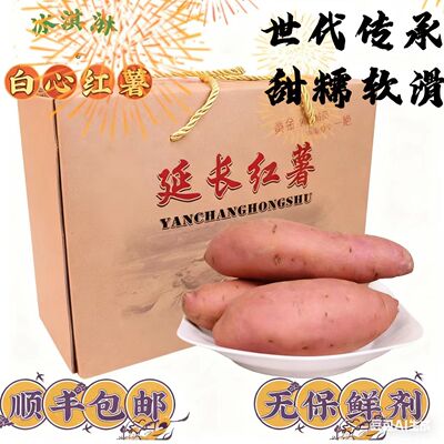 陕西罗子山红薯老品种黄河畔白心火焰山红薯带箱约10斤
