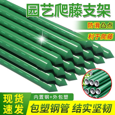 花架爬藤黄瓜葡萄庭院户外