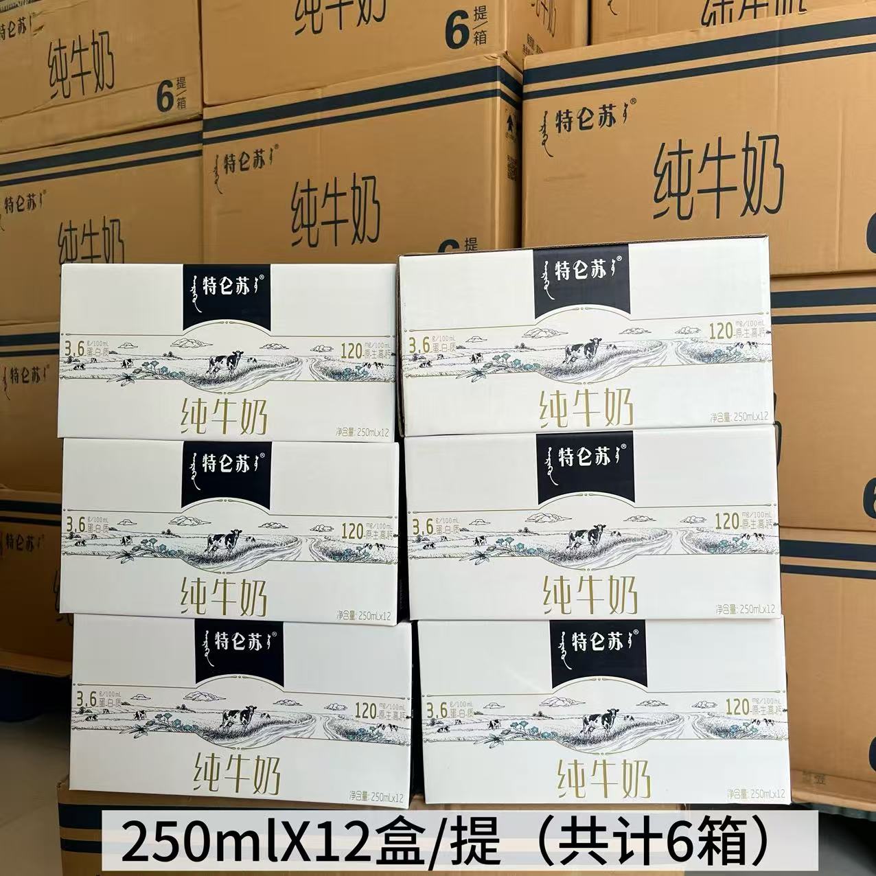 正品蒙牛特仑苏纯牛奶250mlX12盒早餐奶生牛乳