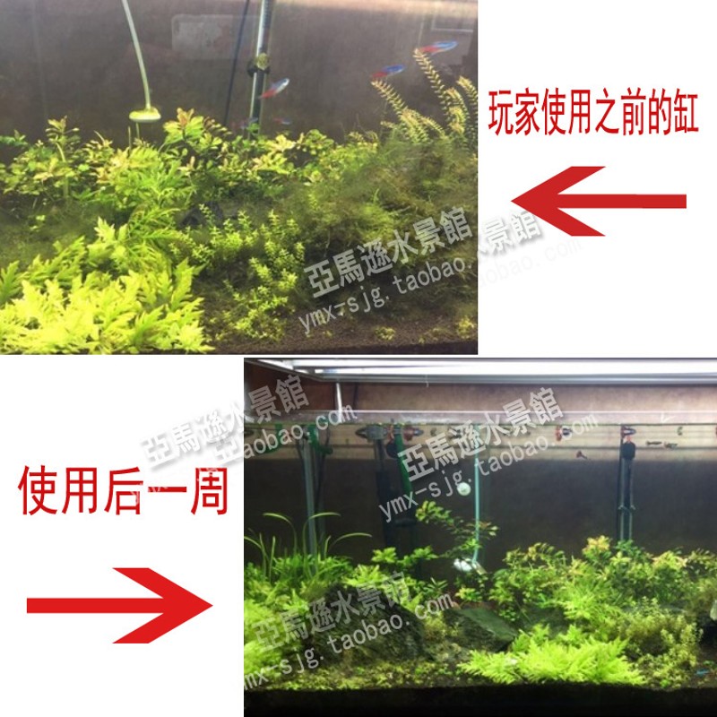 黑毛藻刚毛藻鹿角藻DIY除藻去苔剂鱼缸除藻剂 除苔水草缸除苔剂