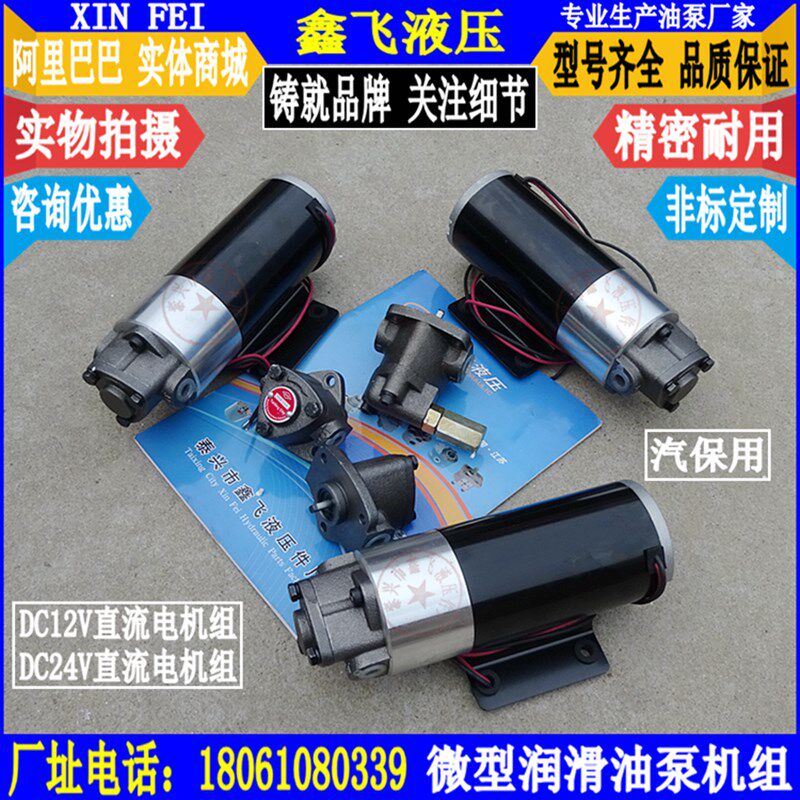 电动液压泵柴油12v抽油泵小型直流油泵油抽润滑微型齿轮泵DC24V