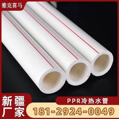 现货应管PPR白新色自来水冷水63mmp供pMr自来水管家装给水疆厂家