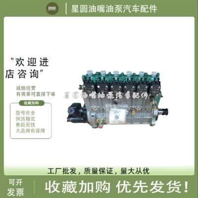 南岳衡阳高压油泵B6HD3004/B6HD3001解放J6大柴电控单体泵NDB112