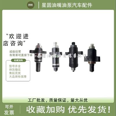 博士CB08/CB18/CB28/CP1江淮云内五十铃电喷油泵柱塞F019D01303