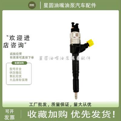 原装喷油器 P091-000K 喷油器总成 油嘴总成 216010