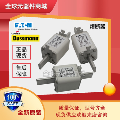 170M1571 170M3808 170M3812 170M3818 170M4258 170M4263熔断器.