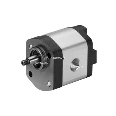 新款油泵0510 0510245300 0u510525018 0510112003 0510010302包