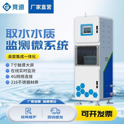水质在线监测仪自动水质监测站取水水质监测微系统水质监测设备