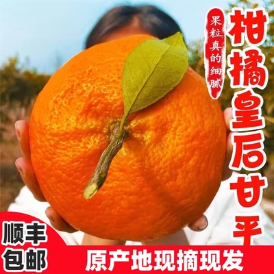 众滔四川甘平柑橘柑橘纯甜大果