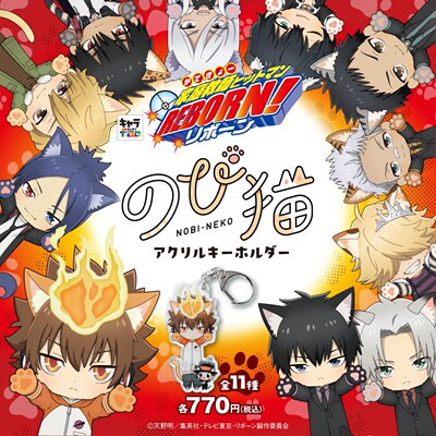 预售#家庭教师REBORN!NOBI-NE