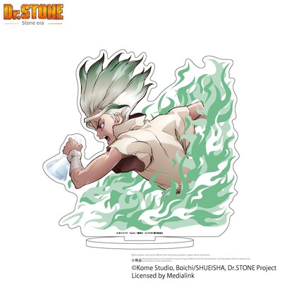 预售#预购A3Dr.StoneZhengyan