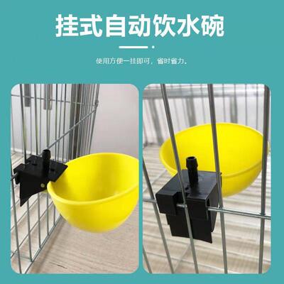 喝水碗小鸟饮水HWB鸽鸡用自动饮水碗子鹑饮水器器雏鸡饮水碗饮鹌