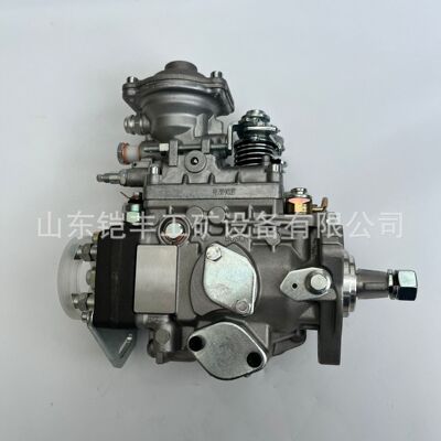 柴油泵22100-1C050 196000-2300燃油泵1960002300 221001C050