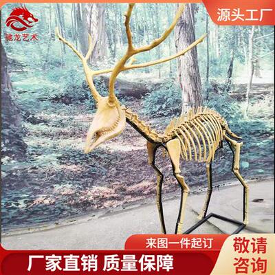 麋鹿羚羊马三趾马动物骨头标本仿真生物树脂骨架复原模型定做