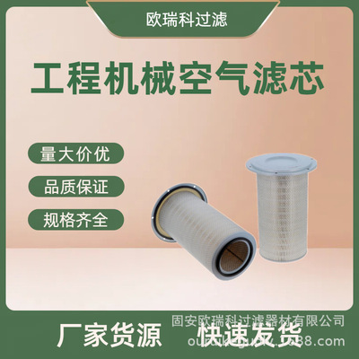 供应替代AF25593空气过滤器AF25593