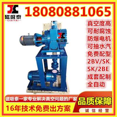 JZJ2S300-4.2.1真空机组ZJP300-70-30罗茨增压泵2SK1.5真空泵9.85
