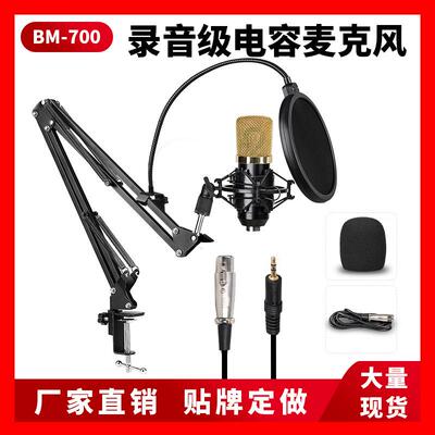 BM700电容麦克风麦克风恩平工厂