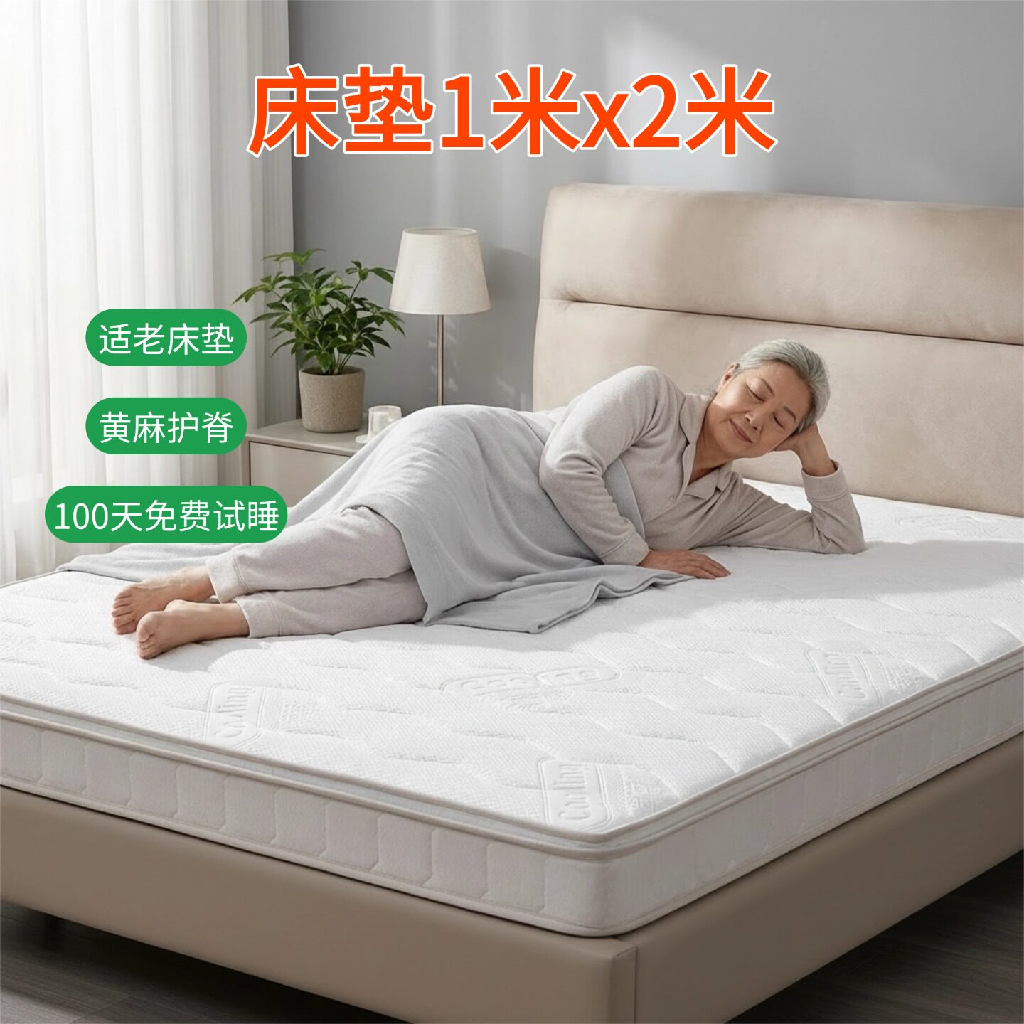 菲欧宫床垫1米x2米适老床垫硬垫子家用环保护脊薄垫护腰冰丝