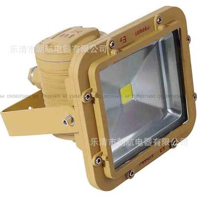 防爆LED灯 LED防爆灯具30~50W100W80W120W BFC8602