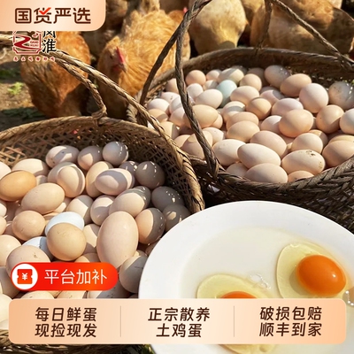 岗淮鸡蛋农家土鸡蛋谷物鲜乌鸡蛋正宗林地散养新鲜柴笨虫草现捡