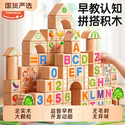 实木积木儿童益智力3d立体大颗粒拼装玩具3到6岁宝宝开发大脑早教