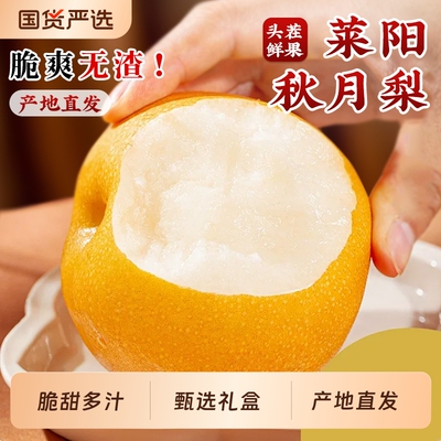 正宗山东莱阳秋月梨子礼盒装当季整箱新鲜中秋应季水果官方旗舰店