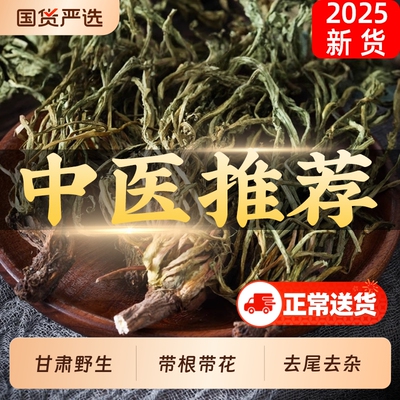 蒲公英正品野生中药材500g