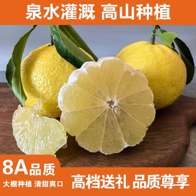 象山大棚青春农家种植甜度高柑橘