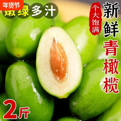 福建正宗香甜青橄榄果新鲜现摘酥脆二号生吃回甘孕妇水果煲汤青果