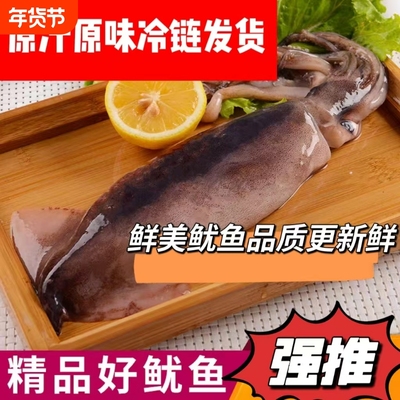 火箭鱿鱼超大笔管鱼水晶管