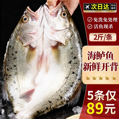 海鲈鱼开背海鱼新鲜冷冻鲜活深海白蕉七星特大烤鱼半成品商用清蒸