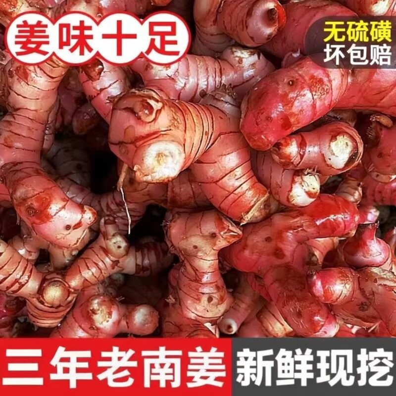 正宗广东红皮老南姜新鲜现挖生姜应季提味调料野山姜潮汕特产批发