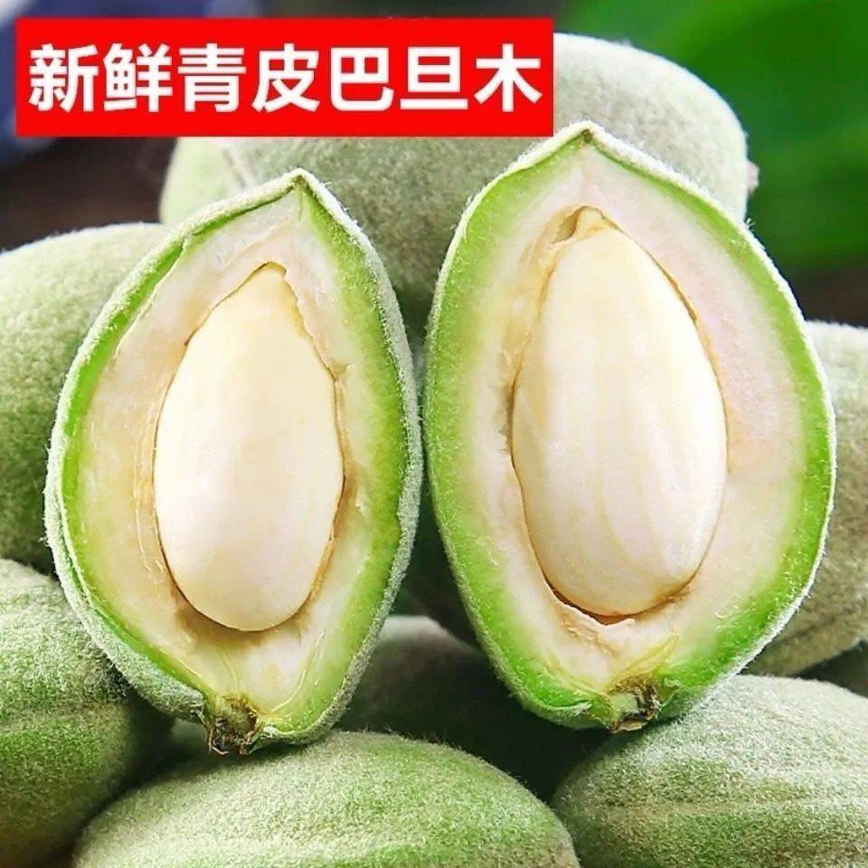 【新疆直发】2026年新鲜巴旦木带壳生大杏仁扁桃仁松鼠巴达木鲜果