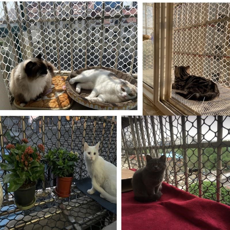 大孔塑料网格猫咪防护网阳台安全防坠网楼梯防护网栅栏护栏封窗网