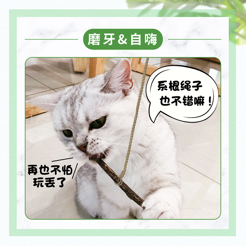 极速猫咪磨牙棒木天蓼棒猫薄荷幼猫洁齿换牙专用逗猫用Z品小鱼干