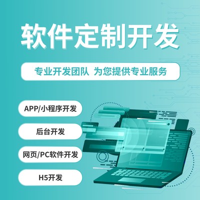 软件开发小程序定制jave代码php编写python安卓app系统网站c语言