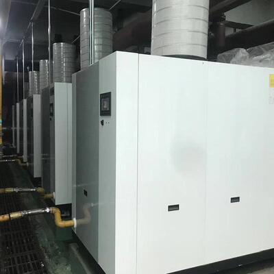 生产LLYE700铸铝卧式低氮E冷凝工业锅炉表面预混工业锅炉全厂家Y