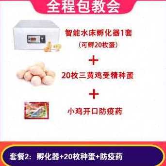 极速新品新款厂促迷你小型家全孵床孵化器J用套送种蛋10枚可水化