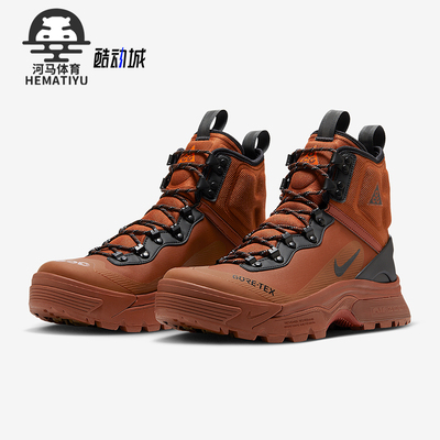 Nike/耐克正品GORE-TEX男女耐磨户外运动高帮徒步鞋DD2858-203