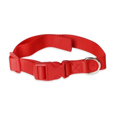 极速TK909 Accessory Pet Colxlar Six Colors Optional For Pet