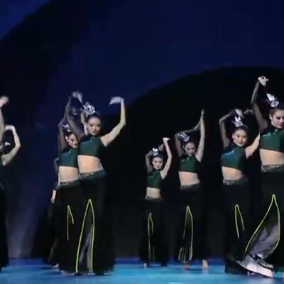 傣族舞蹈服装中国舞民族表演服荷花奖夜竹朝露演S出服包臀裙艺考